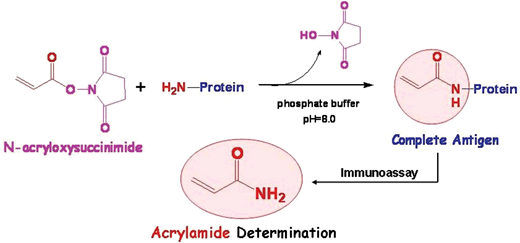 Antigen synthetic strategy and immunoassay development for detection of ...