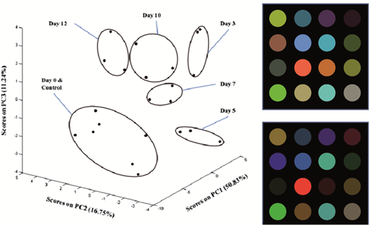 Monitoring of chicken meat freshness by means of a colorimetric sensor ...