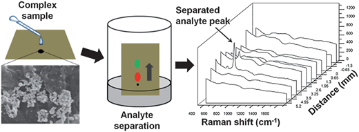 Chromatographic separation and detection of target analytes from ...