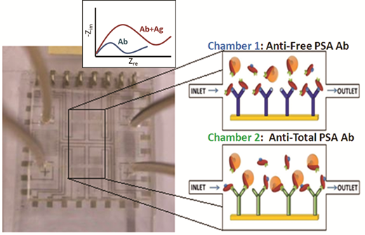 On-chip screening for prostate cancer: an EIS microfluidic platform for ...