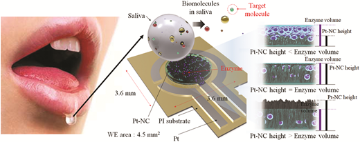 Sensitive and non-invasive cholesterol determination in saliva via ...