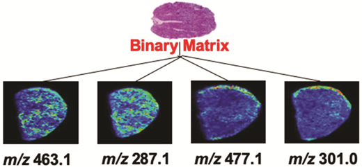 A novel binary matrix consisting of graphene oxide and caffeic acid for ...