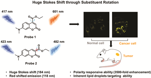 Engineering a lipid droplet targeting fluorescent probe with a large ...