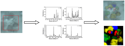 Visual detection of microplastics using Raman spectroscopic imaging ...