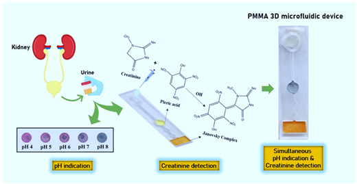 Additive-manufactured paper–PMMA hybrid microfluidic chip for ...