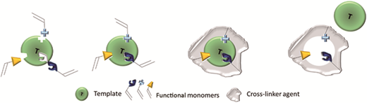 Sample treatment based on molecularly imprinted polymers for the ...