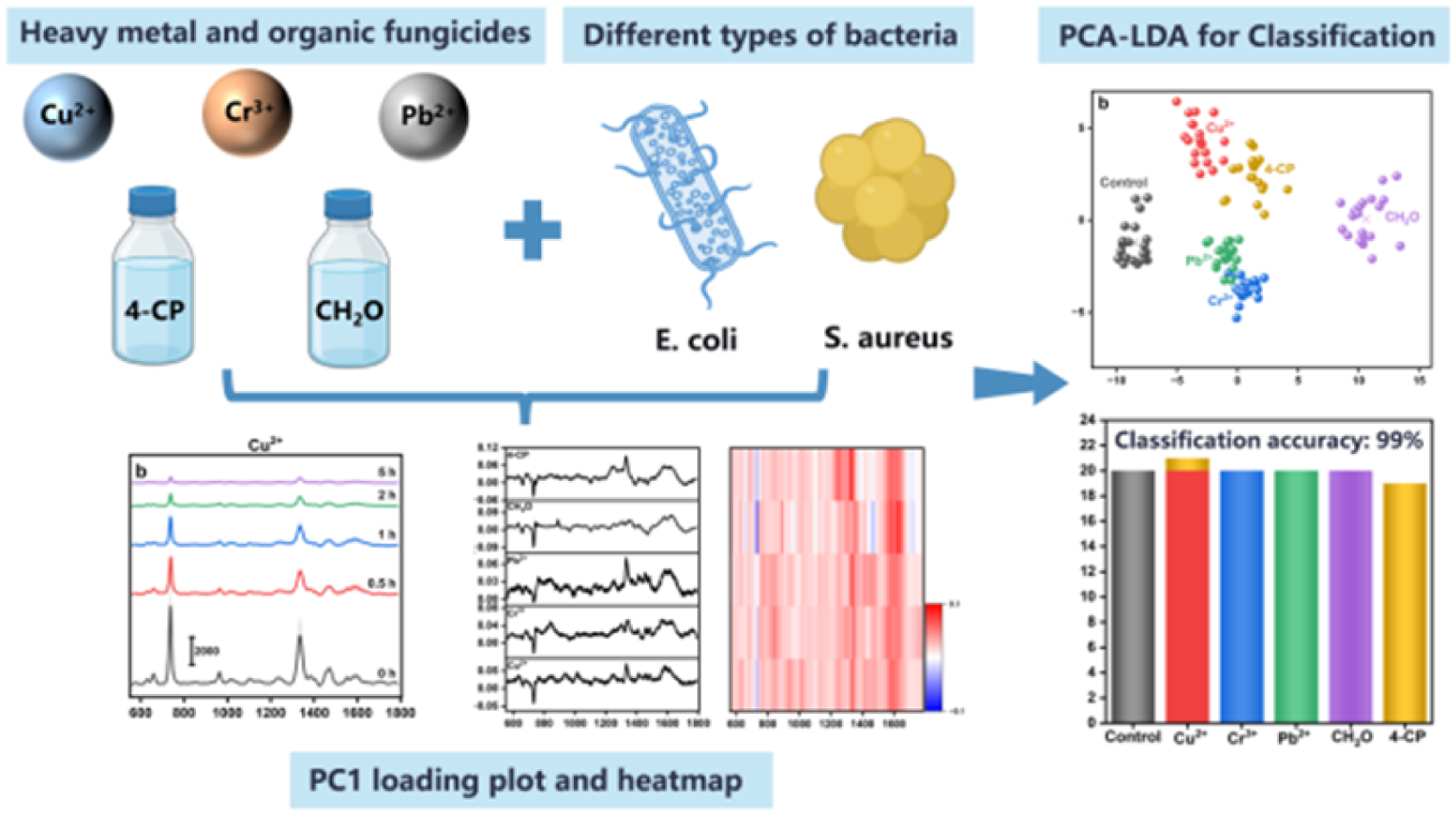 Whole-cell SERS fingerprints for rapid toxicant attribution in water ...