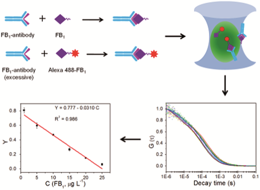 Sensitive and homogenous immunoassay of fumonisin in foods using single ...