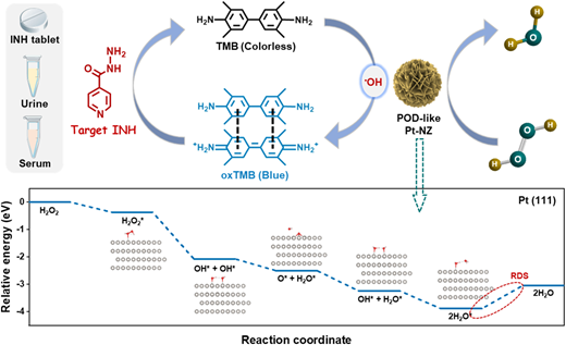 A robust Pt nanozyme for visual isoniazid determination in commercial ...