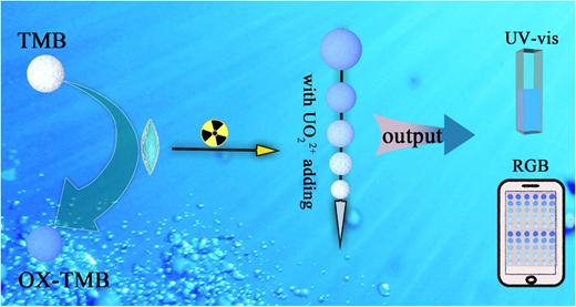 Smartphone integrated portable oxidase-like hydrogel kit for UO22 ...