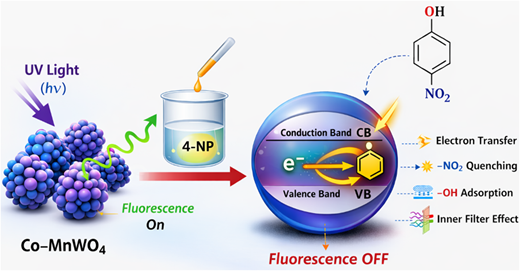 Hydrothermal synthesis of Co substituted MnWO4 nanostructures for ...