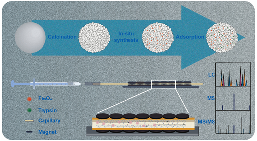 Application of an open-tube immobilized enzyme microreactor constructed ...