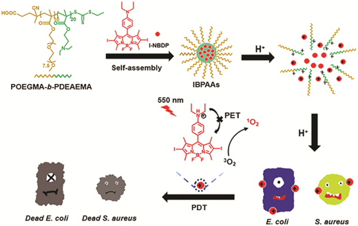 An acid-triggered BODIPY-based photosensitizer for enhanced ...
