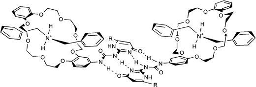 The contribution of complementary hydrogen bonding to supramolecular ...