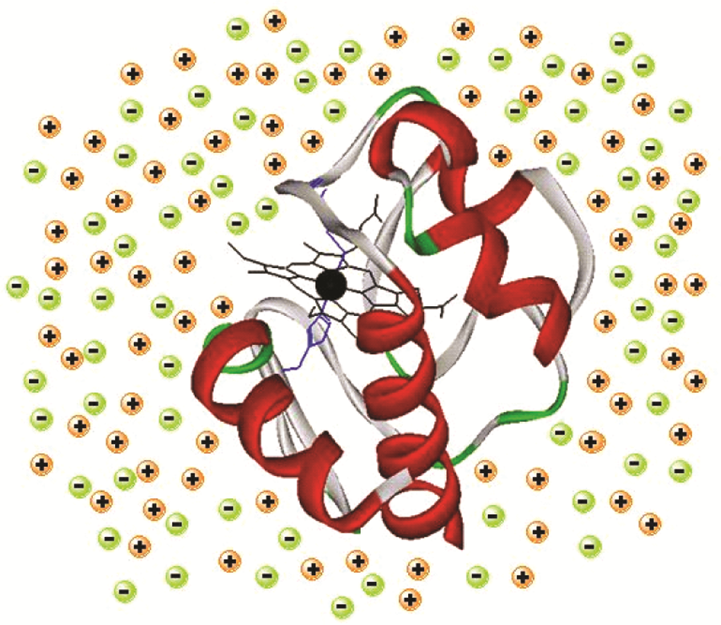 Protein solubilising and stabilising ionic liquids† | Chemical ...
