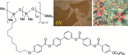 The first example of a liquid crystalline side-chain polymer with bent ...
