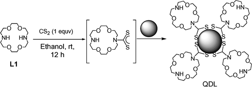A simple strategy for quantum dot assisted selective detection of ...