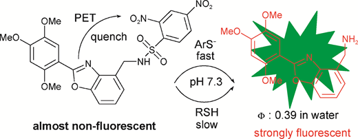 Rational design of a highly selective and sensitive fluorescent PET ...