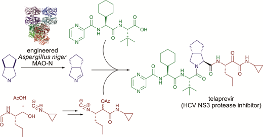 A highly efficient synthesis of telaprevir by strategic use of ...