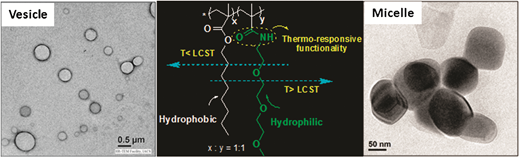 Vesicular assembly and thermo-responsive vesicle-to-micelle transition ...