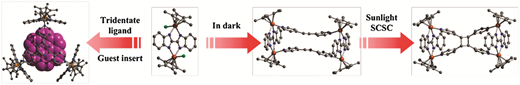 Sunlight induced cycloaddition and host–guest property of self ...