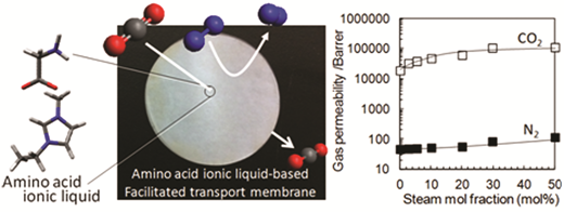 Amino acid ionic liquid-based facilitated transport membranes for CO2 ...