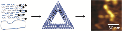Transfer of a protein pattern from self-assembled DNA origami to a ...