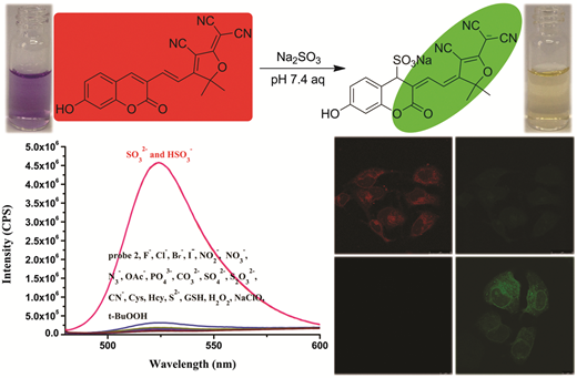 A water-soluble near-infrared probe for colorimetric and ratiometric ...