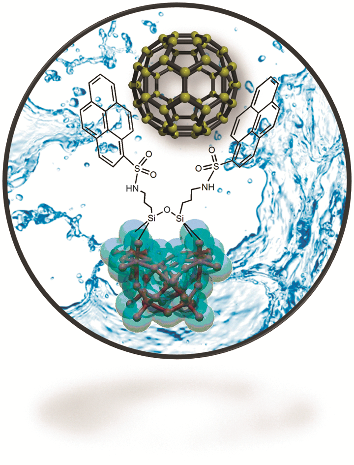 The supramolecular design of low-dimensional carbon nano-hybrids ...