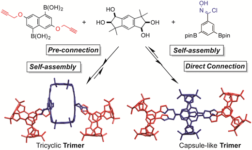 Procedure-dependent construction of two isomers of trimeric self ...