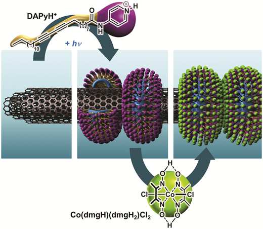 Supramolecular assembly of cobaloxime on nanoring-coated carbon ...