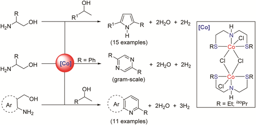 Cobalt-catalyzed acceptorless dehydrogenative coupling of aminoalcohols ...