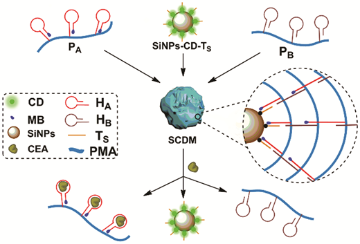 Green-emitting carbon dot loaded silica nanoparticles coated with DNA ...
