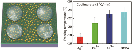 Metal–catechol complexes mediate ice nucleation† | Chemical ...