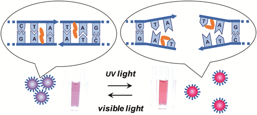 Photo-switching of blunt-end stacking between DNA strands immobilized ...