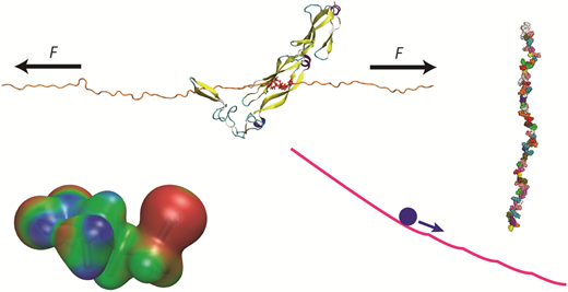 Molecular interpretation of single-molecule force spectroscopy ...
