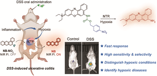 Activatable fluorogenic probe for accurate imaging of ulcerative ...
