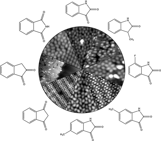 Self-assembly controlled at the level of individual functional groups ...