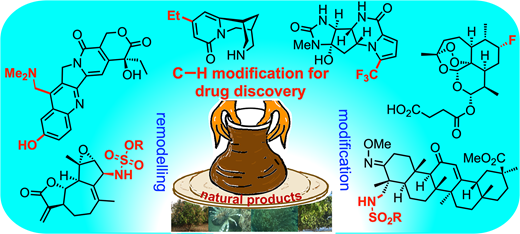 C–H modification of natural products: a minimalist enabling tactic for ...
