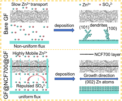 A nitrogen-doped carbon fiber coating embedded in the separator for ...