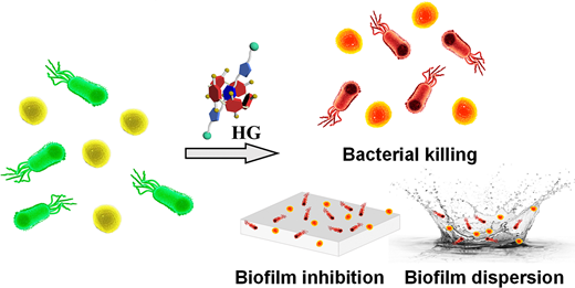 Construction of a supramolecular antibacterial material based on water ...
