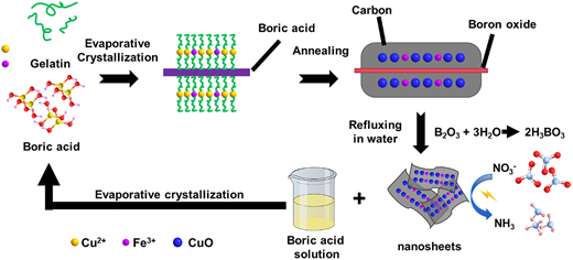 Fe-doped CuO embedded in carbon nanosheets for efficient and selective ...