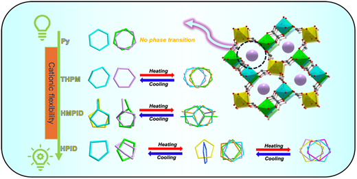 Organic ammonium flexibility modulated phase-transition behaviour in 3D ...