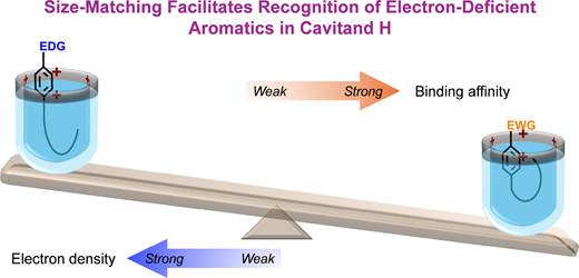 Size-matching overrides the electronic preference of cation-π ...