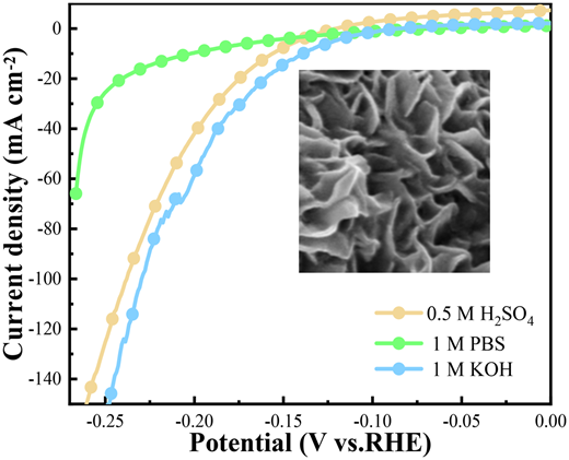 Co-doped MoS2 nanosheet: a stable and pH-universal electrocatalyst for ...