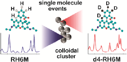 Bi-analyte SERS with isotopically edited dyes | Physical Chemistry ...