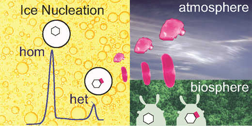 Parameterizations for ice nucleation in biological and atmospheric ...