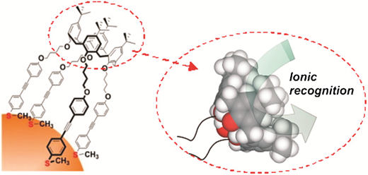 Cationic recognition by tert-butylcalix[4]arene-functionalized ...