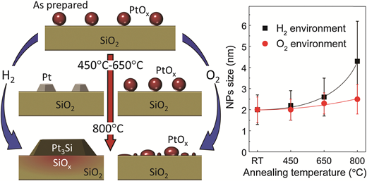 An in situ transmission electron microscopy study of sintering and ...