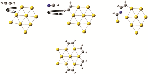 A systematic investigation of acetylene activation and hydracyanation ...